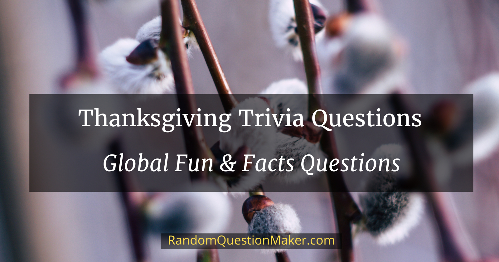 35 Thanksgiving Trivia: Global Fun & Facts Questions